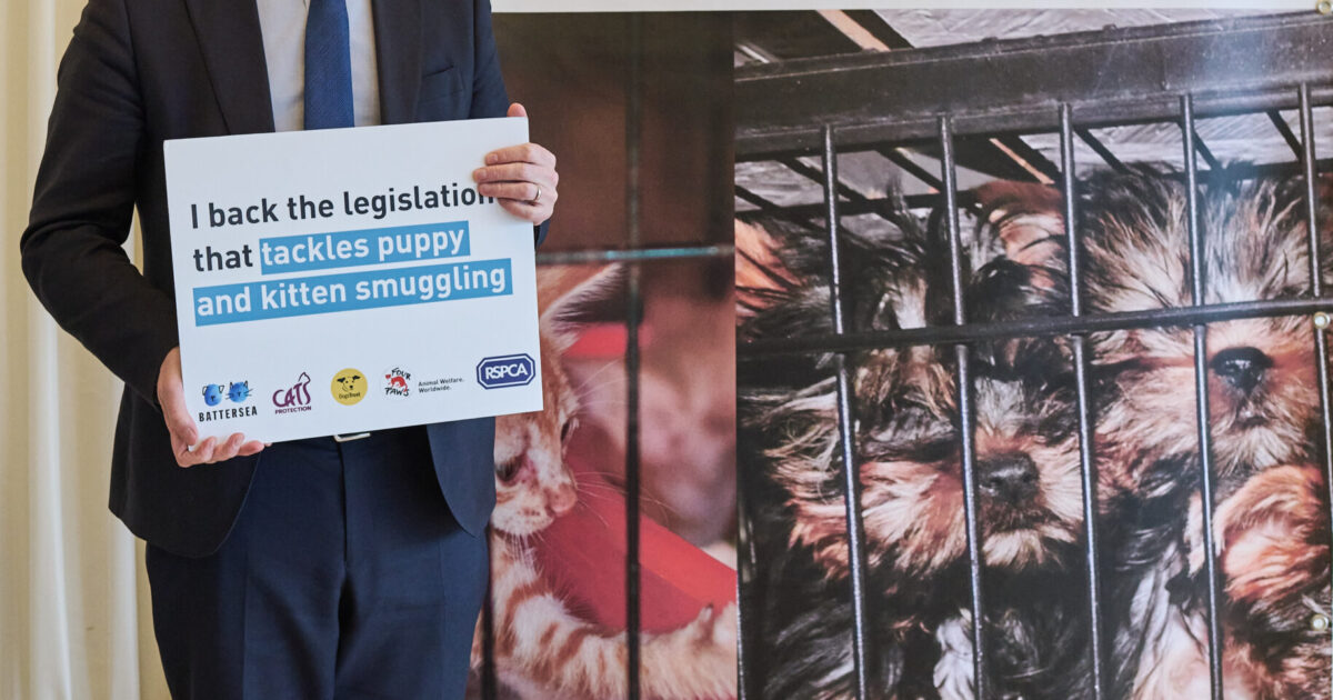 Media release on behalf of animal welfare charities by Justin Madders ...